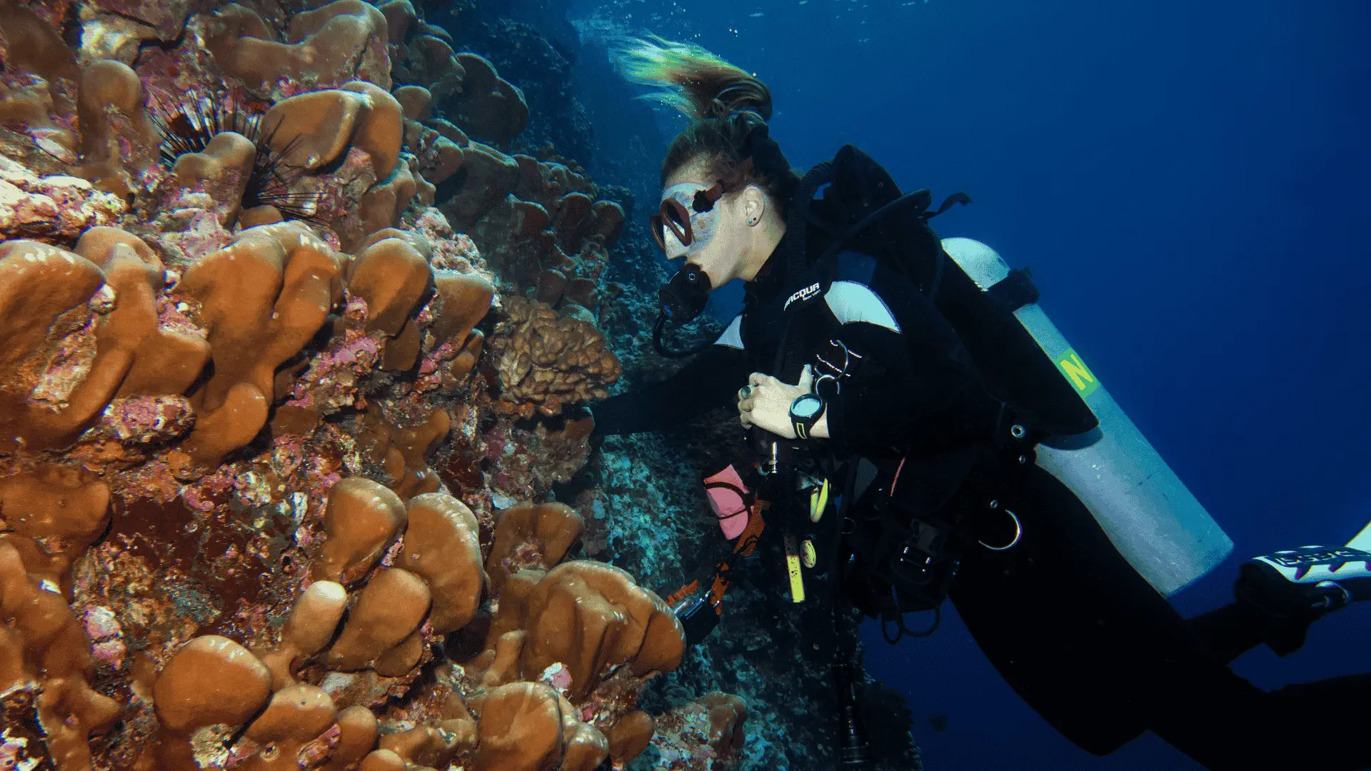 SCP - Ocean Conservation